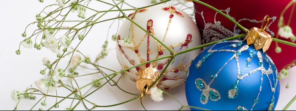 Trang Đặc Biệt VTLV MỪNG THANKSGIVING 2024 – KQ LÊ VĂN HẢI. CÁC SÁNG ...